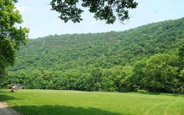 Campus Tour | Cove Forge Behavioral Health