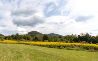 Campus Tour | Cove Forge Behavioral Health